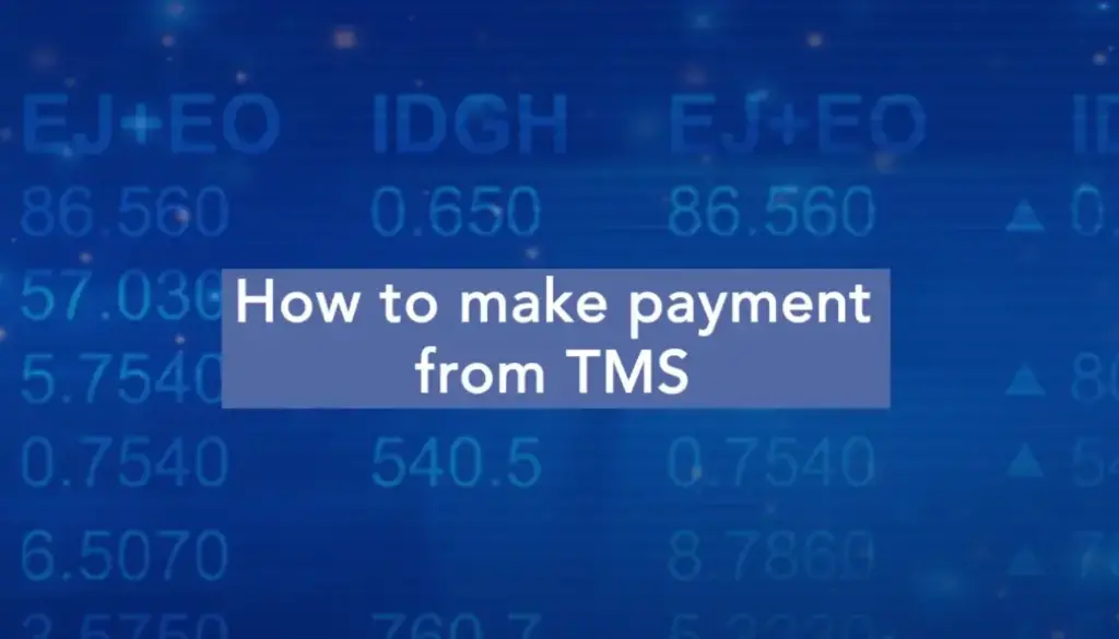 How to make payment from TMS